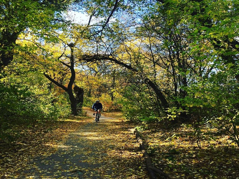 Attractions | Tourism Winnipeg