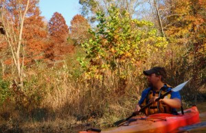 Kayaking in Augusta