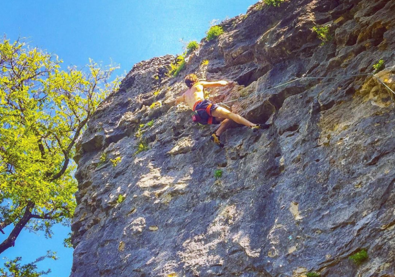 Are Dogs Allowed At Reimers Ranch