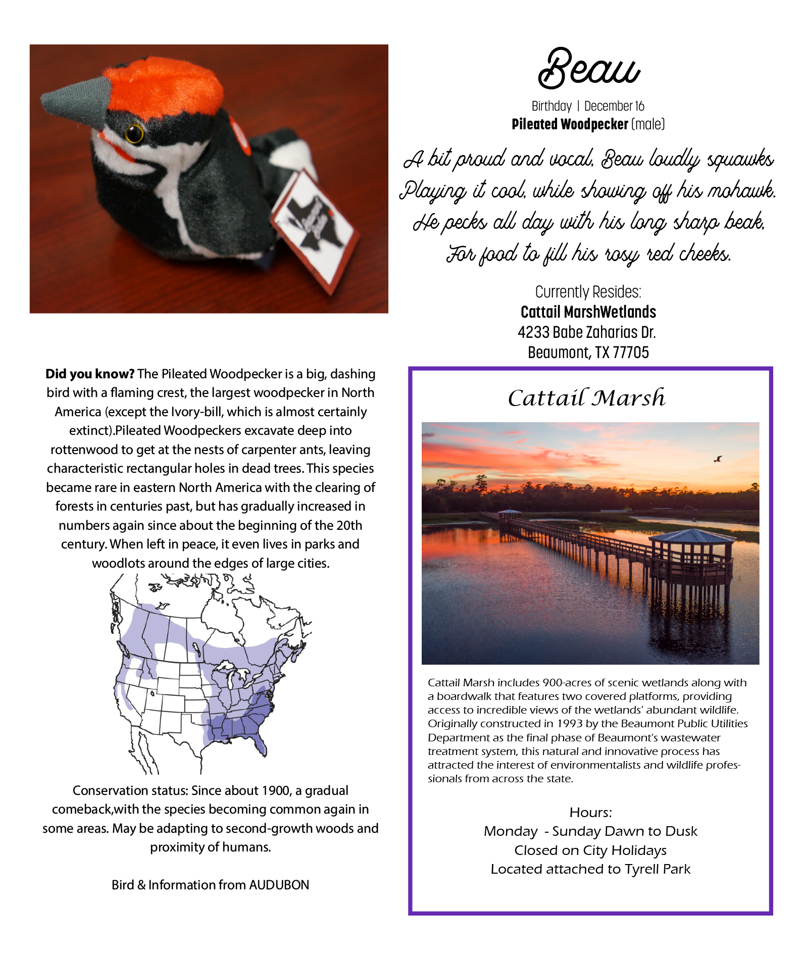 Beaumont Birdie -Beau