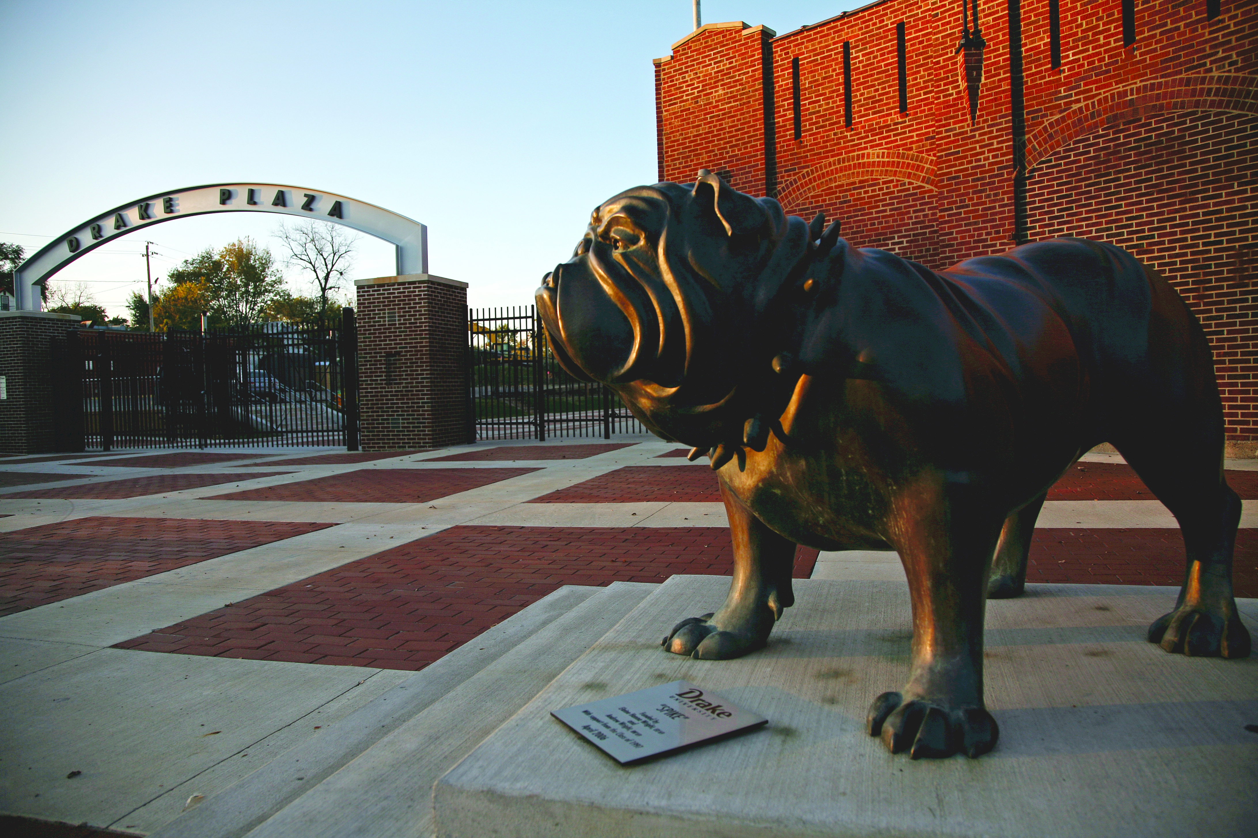 Spike Drake University