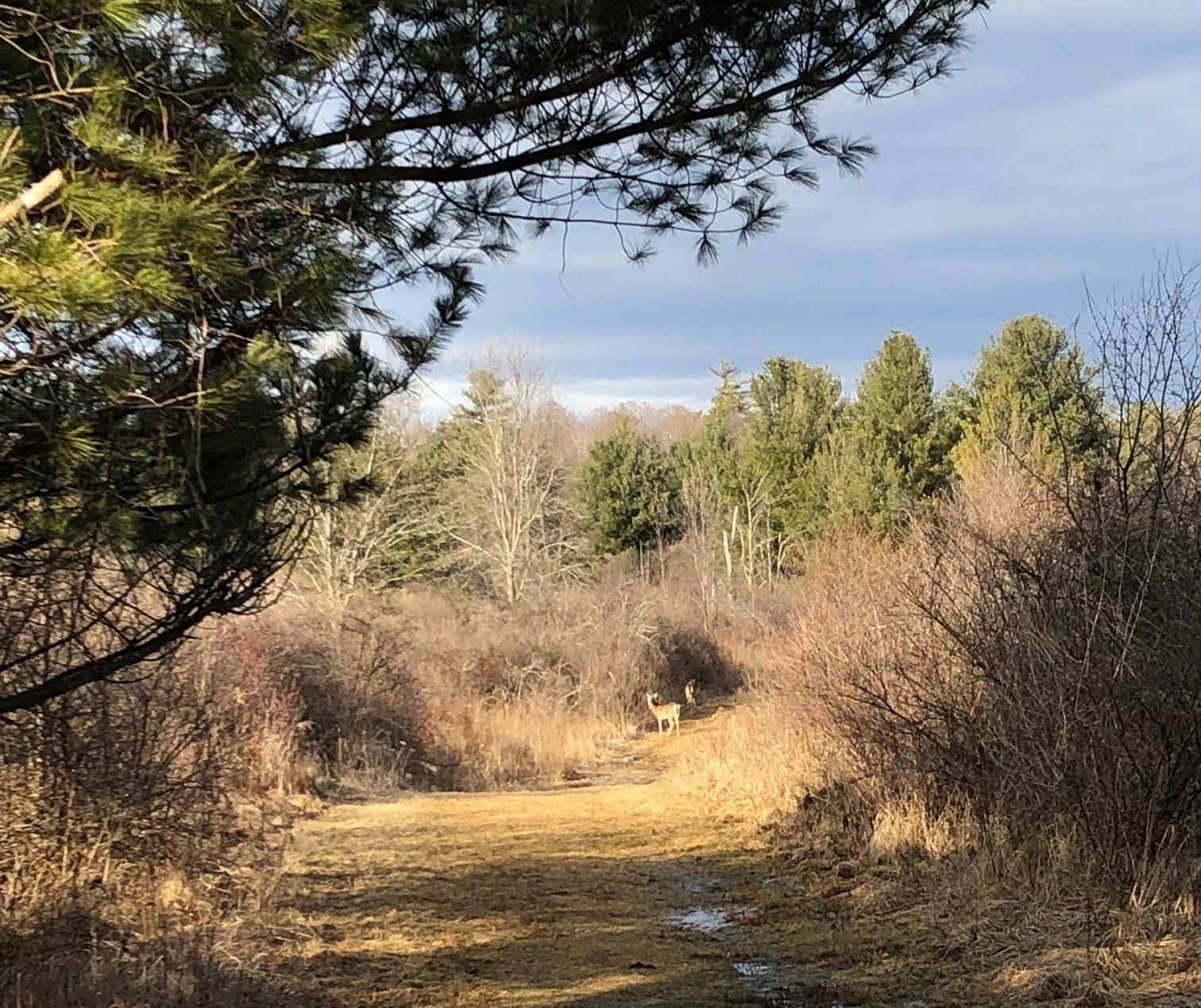 Earth Day Festivities in Albany County