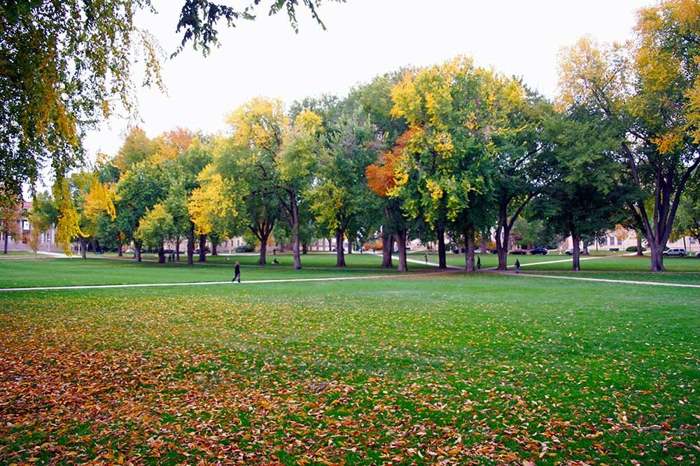31 Things That Will Make You Love Fort Collins