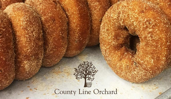 County Line Orchard in Northwest Indiana | Apple Picking