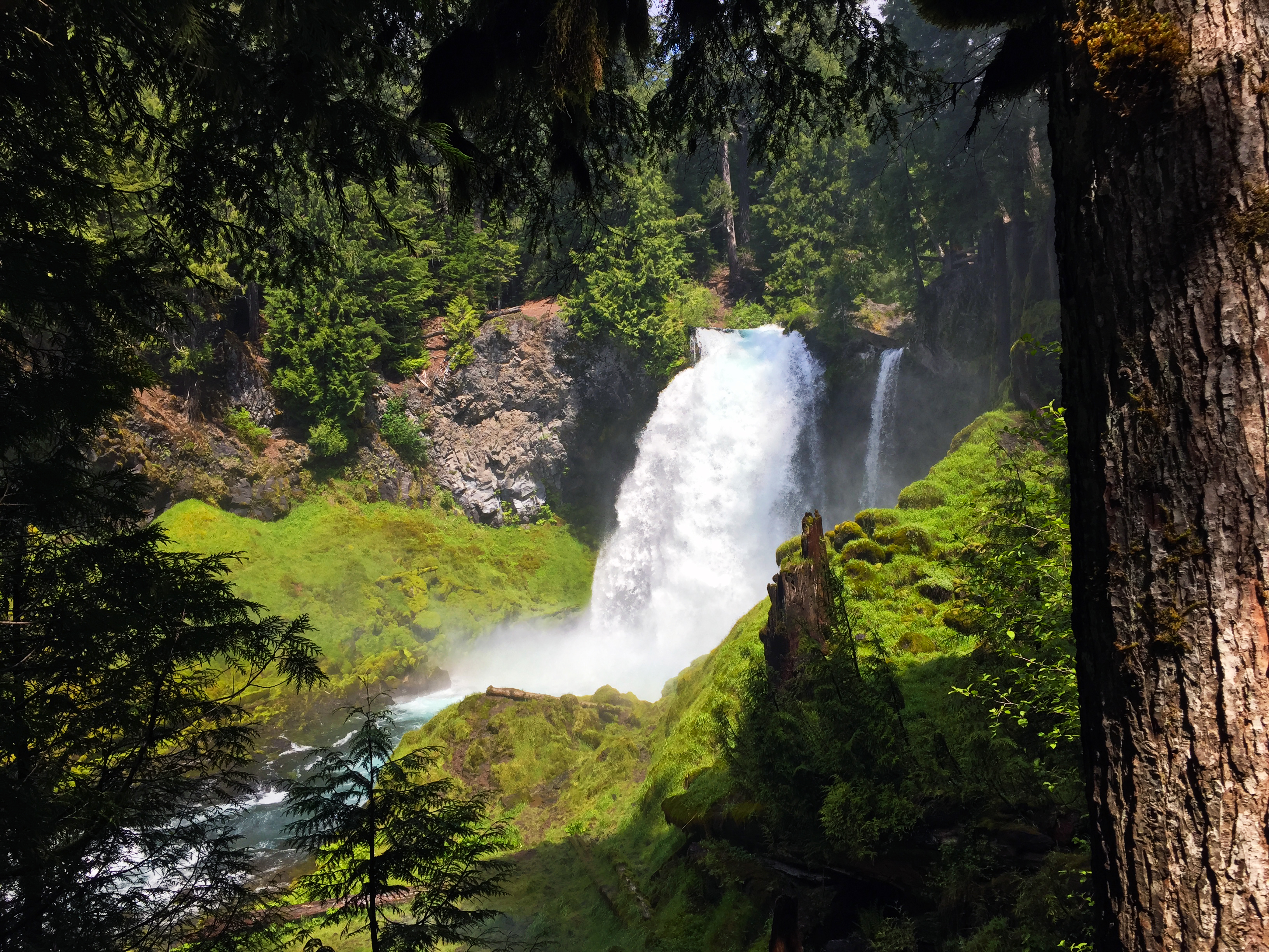 Eugene Oregon Rainforest Best Mountain Bike Trails In Eugene