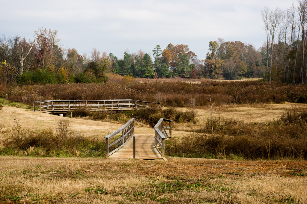 9 Places to Get your Hike on in the Huntsville/Madison County Area