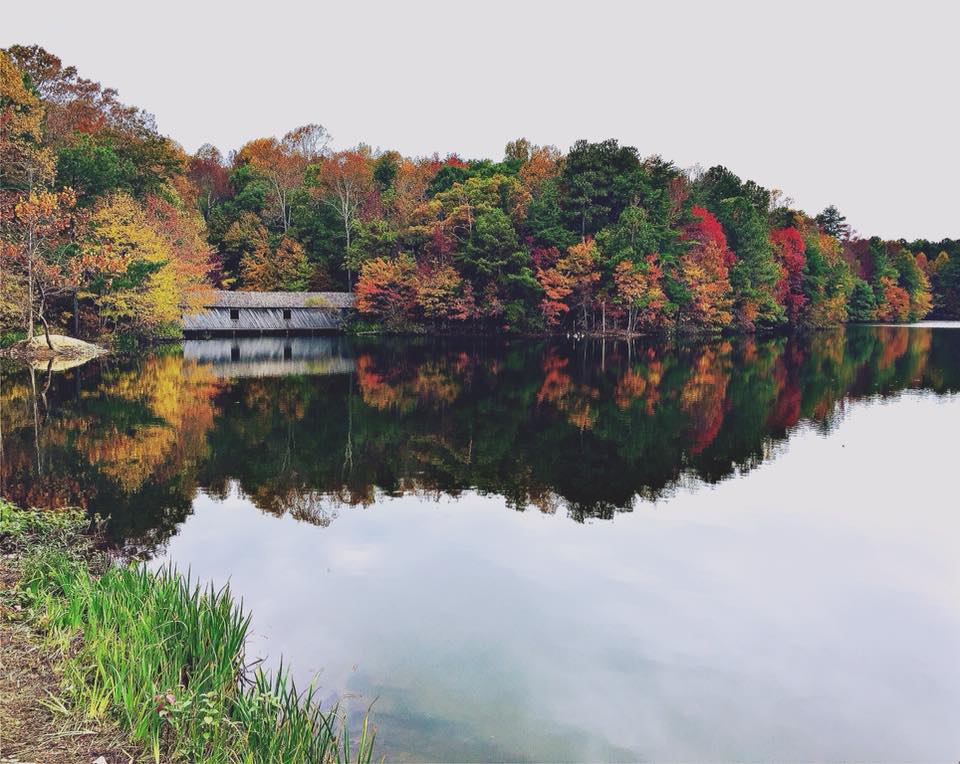 Best Places to See Fall Colors in Huntsville, Alabama