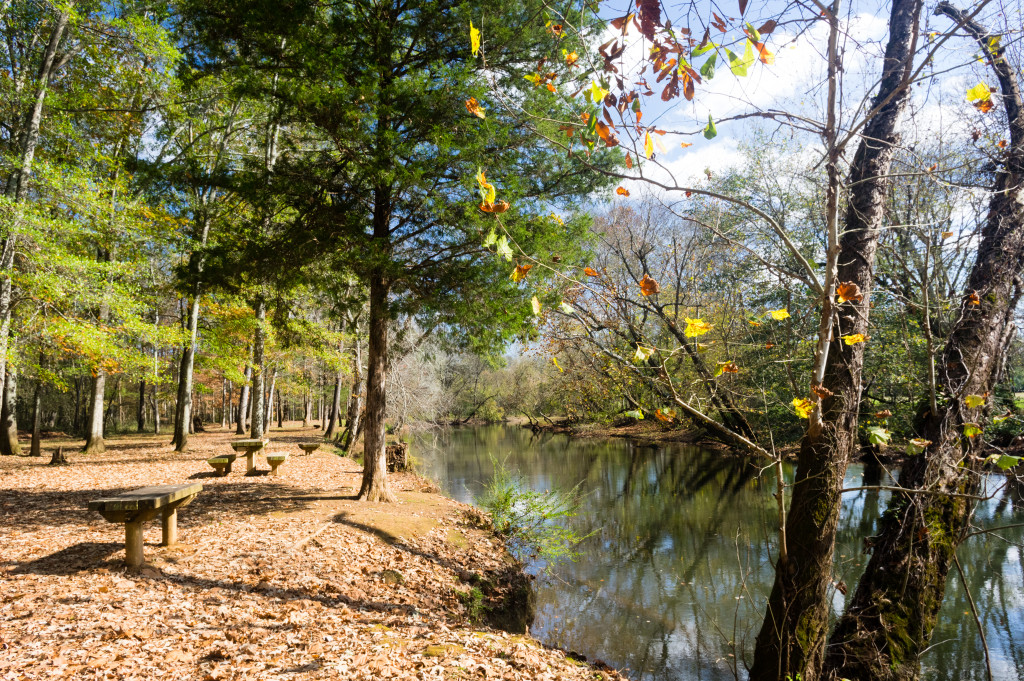 Get your winter hike on at Hays Nature Preserve