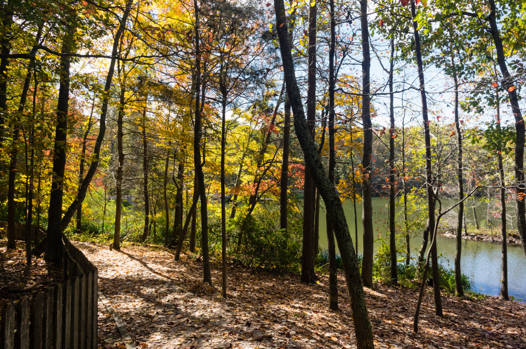 Get your winter hike on at Madison County Nature Trail on Green Mountain