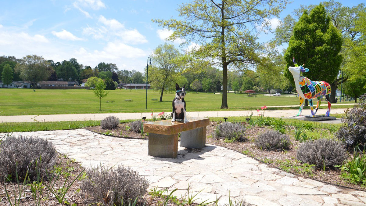 Vito the Boston Terrier’s Adventures in Elkhart County Part One