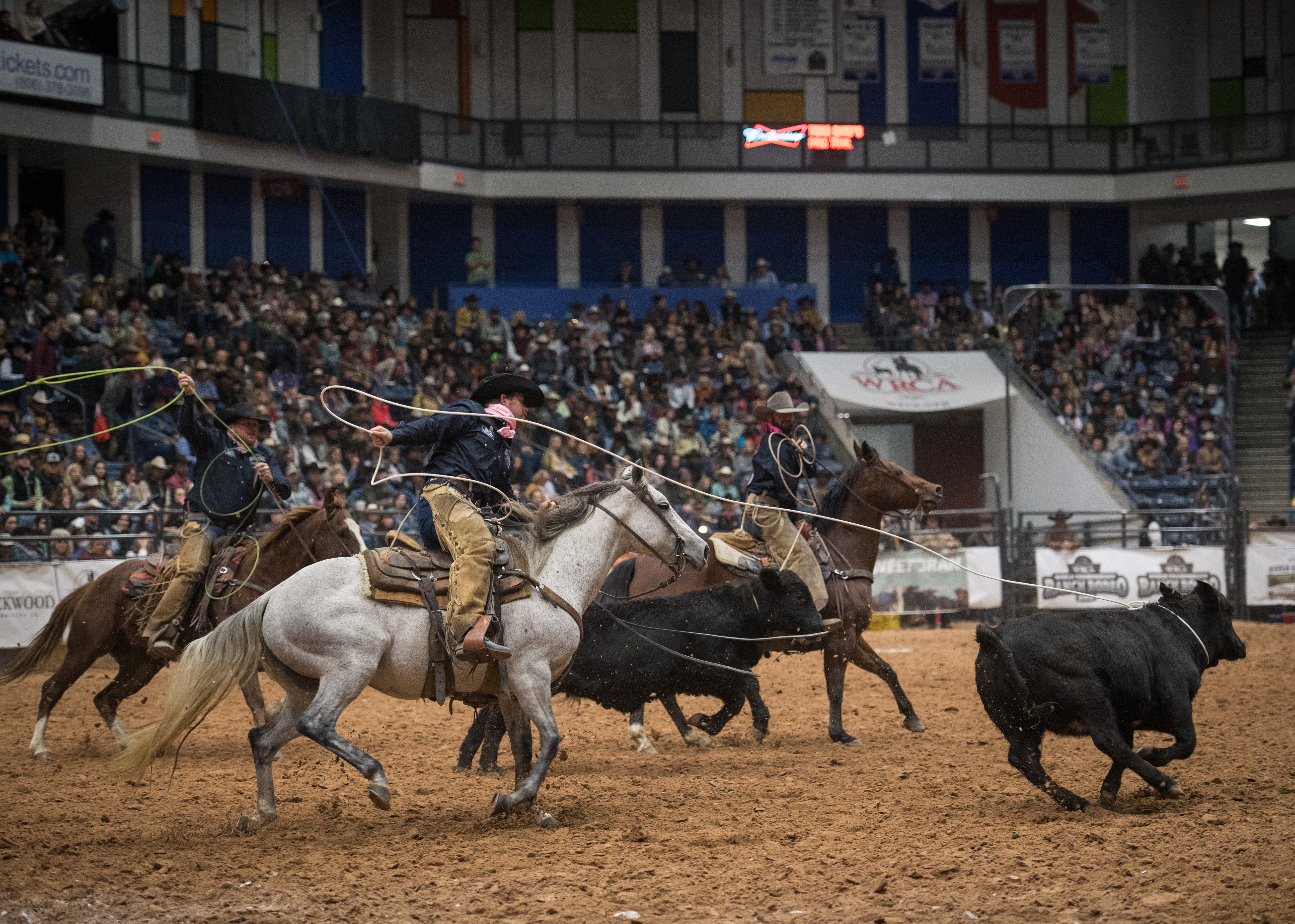 Rodeos In Texas North Texas Fair And Rodeo Notes Texas Vision