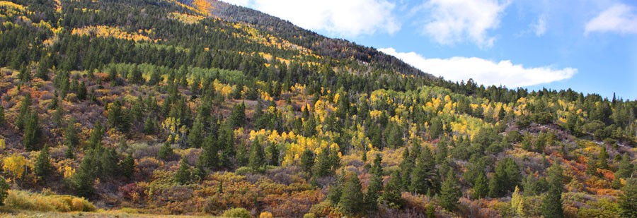 Weather & seasons – Bryce Canyon Country