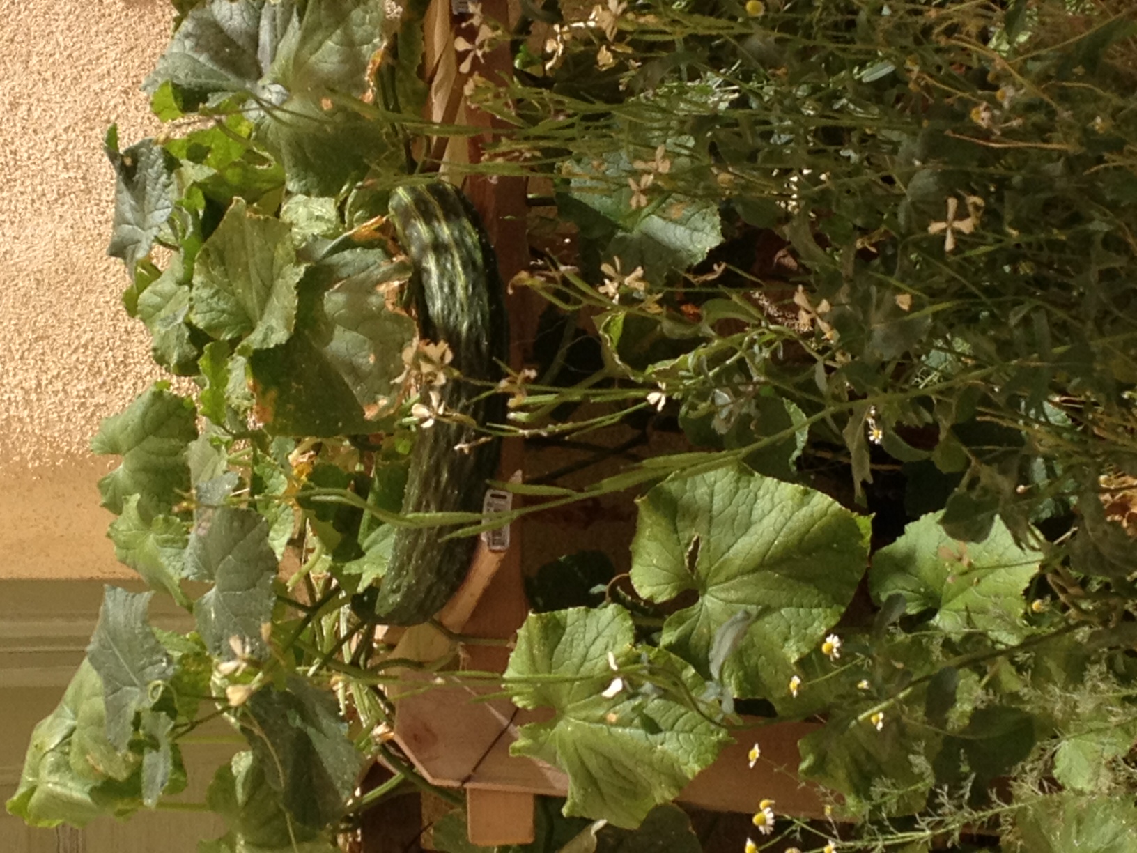 Table Talks with Chef Martin Rios