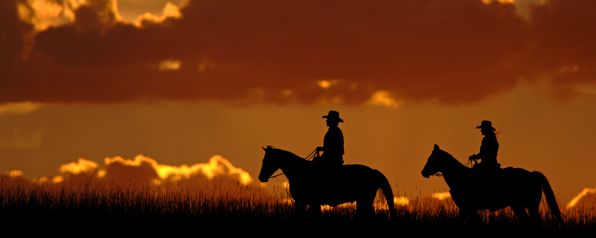 Ride That Cowboys