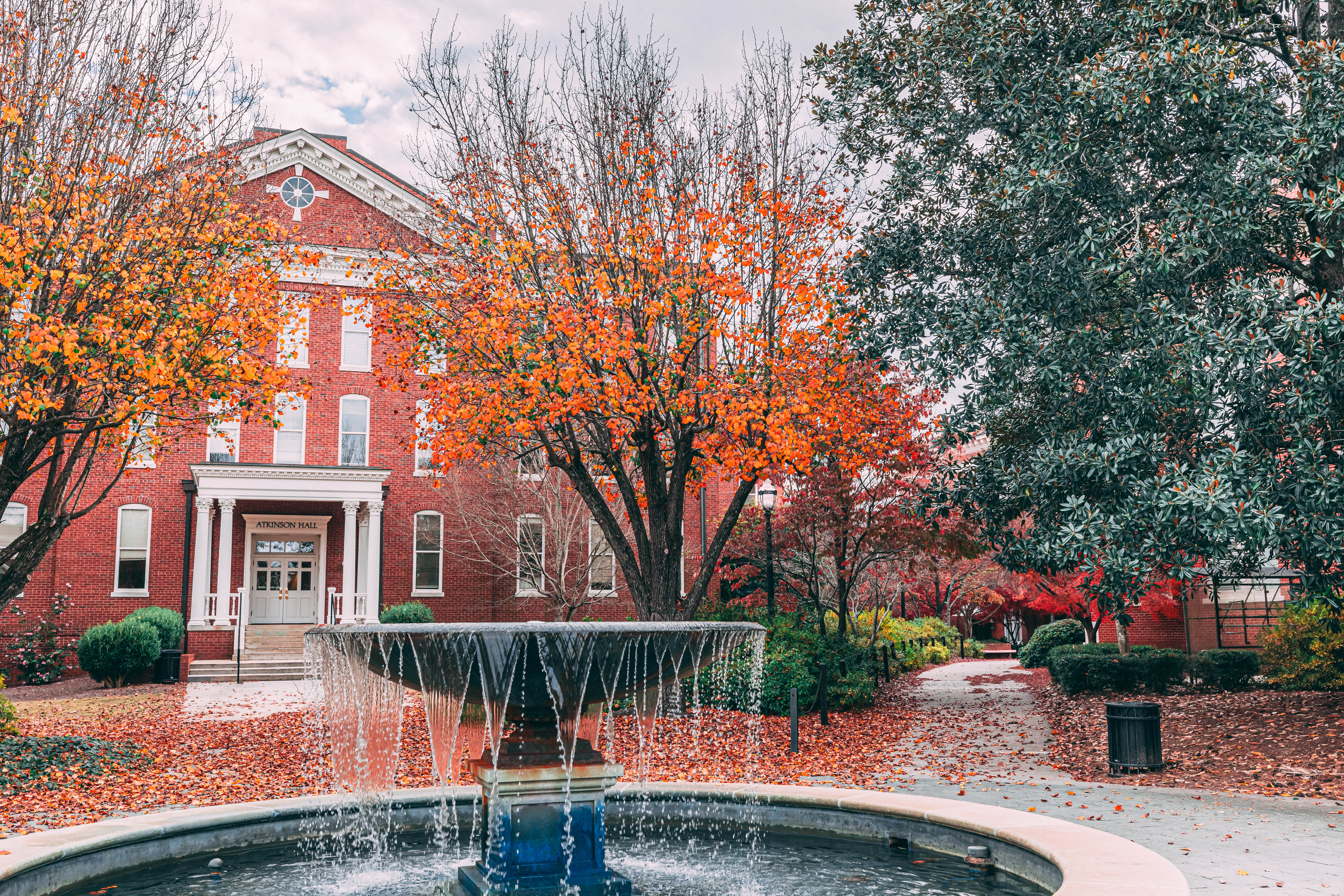 Georgia College And State University