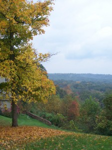 Brown County Leaf Cam