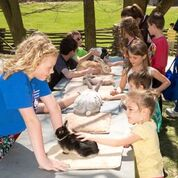Conner Prairie Re-Opens for Spring