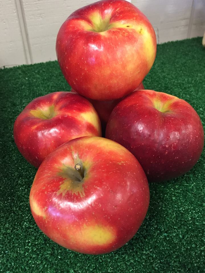 Fall is Near and The Apple Store is Almost Here!