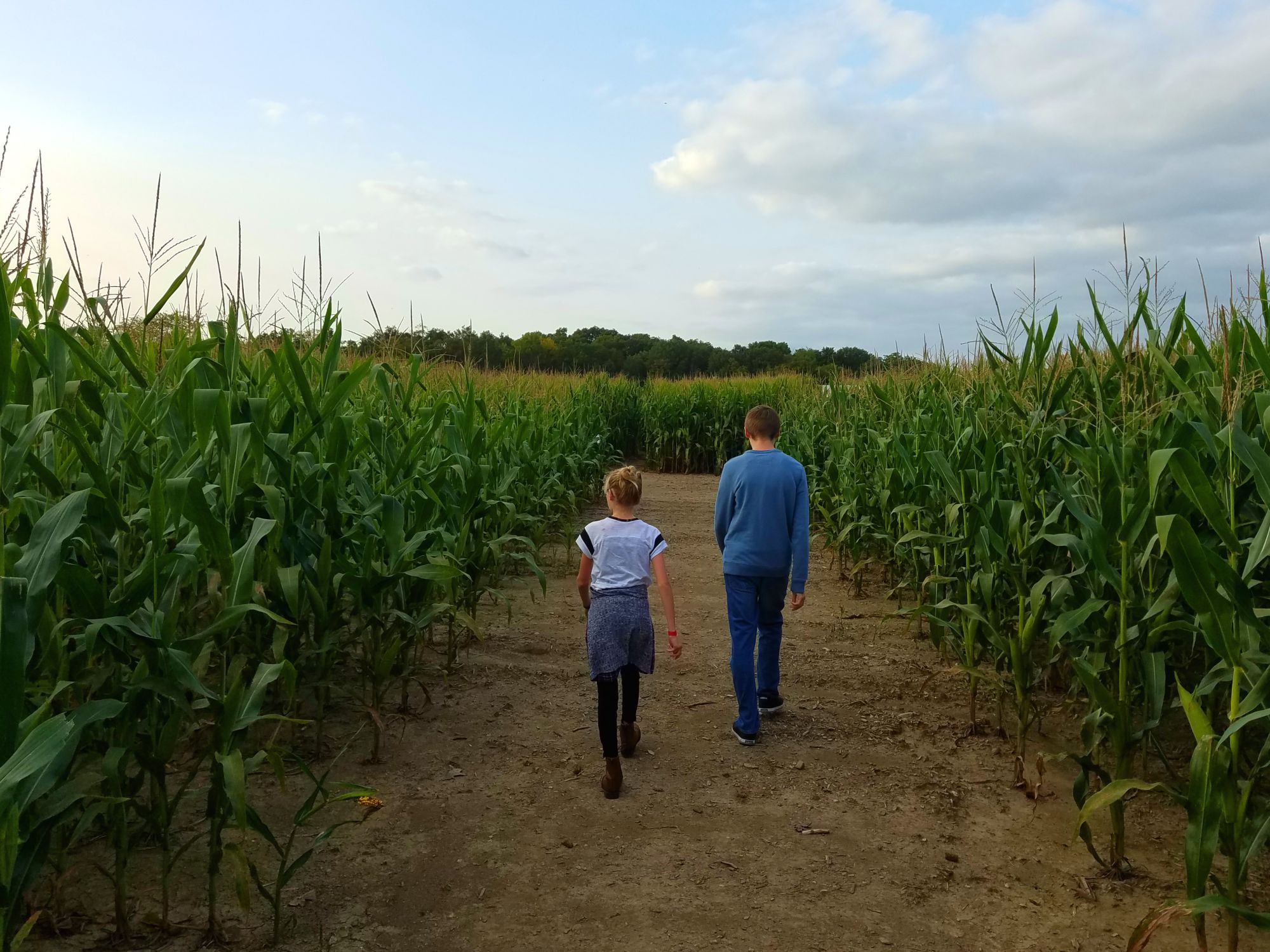 Get Lost in Northeast Indiana's Largest Corn Maze