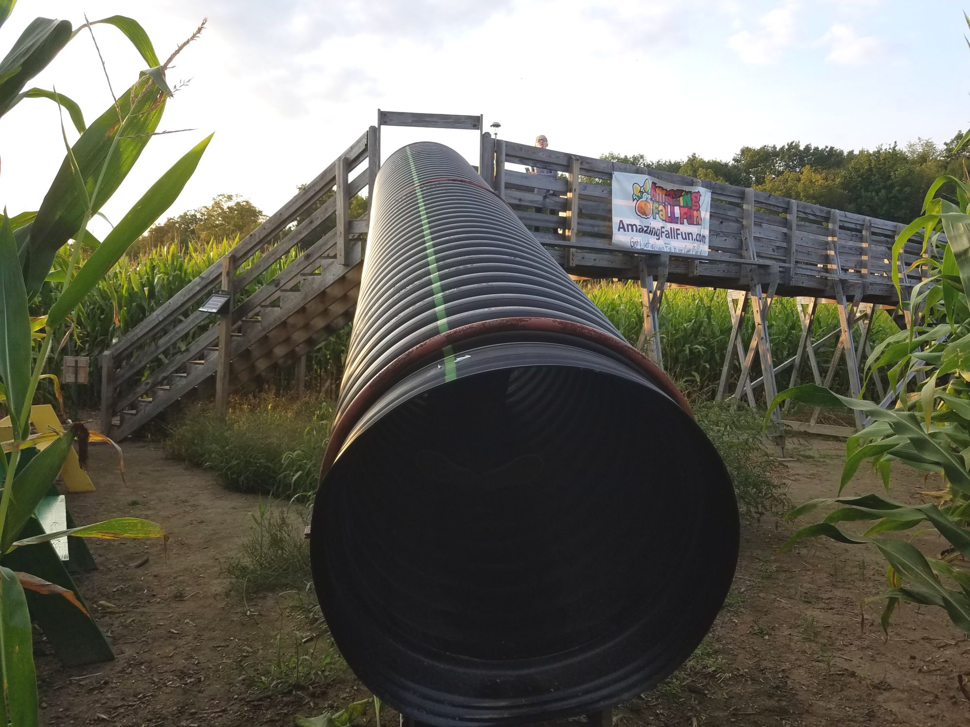 Get Lost in Northeast Indiana's Largest Corn Maze