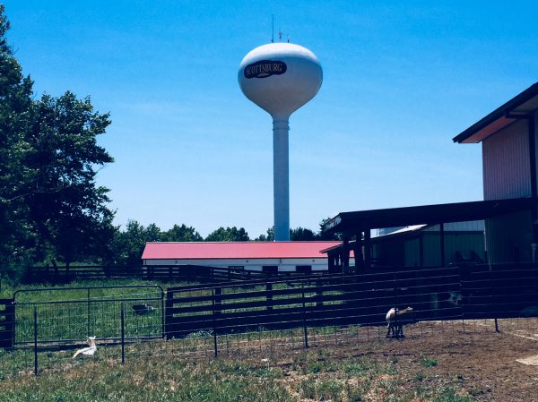 This Southern Indiana Goat Farm Is a Must for Family Fun