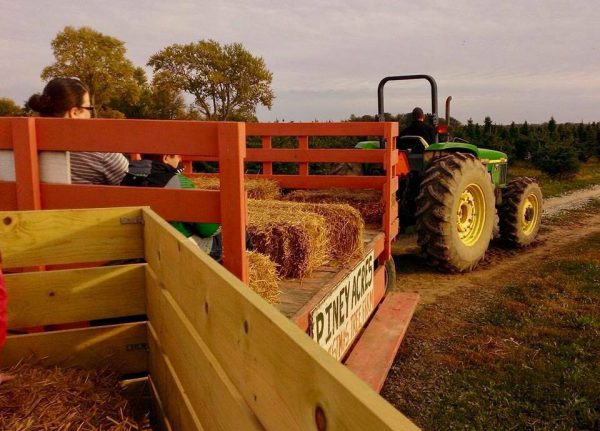 Find Out Why Piney Acres Farm is so Much More Than a Pumpkin Patch