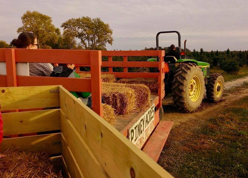 Find Out Why Piney Acres Farm is so Much More Than a Pumpkin Patch