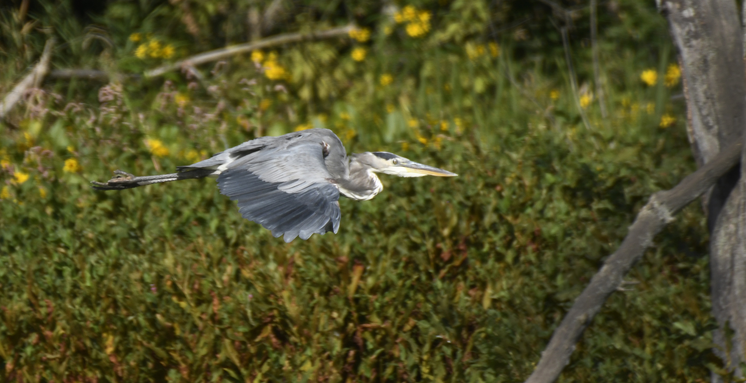 You Won't Believe These Two Wildlife Habitats in Northwest Indiana
