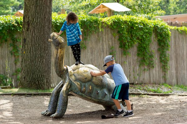 These 6 Zoos in Indiana Are Full of Amazing Creatures