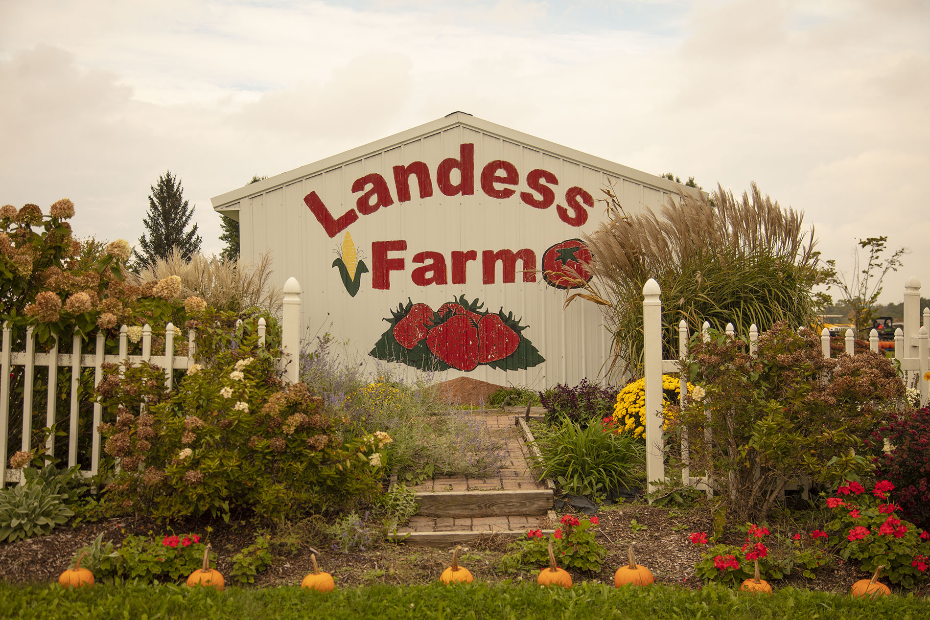 Harvest Season is Full of Fall Fun at Landess Farm!