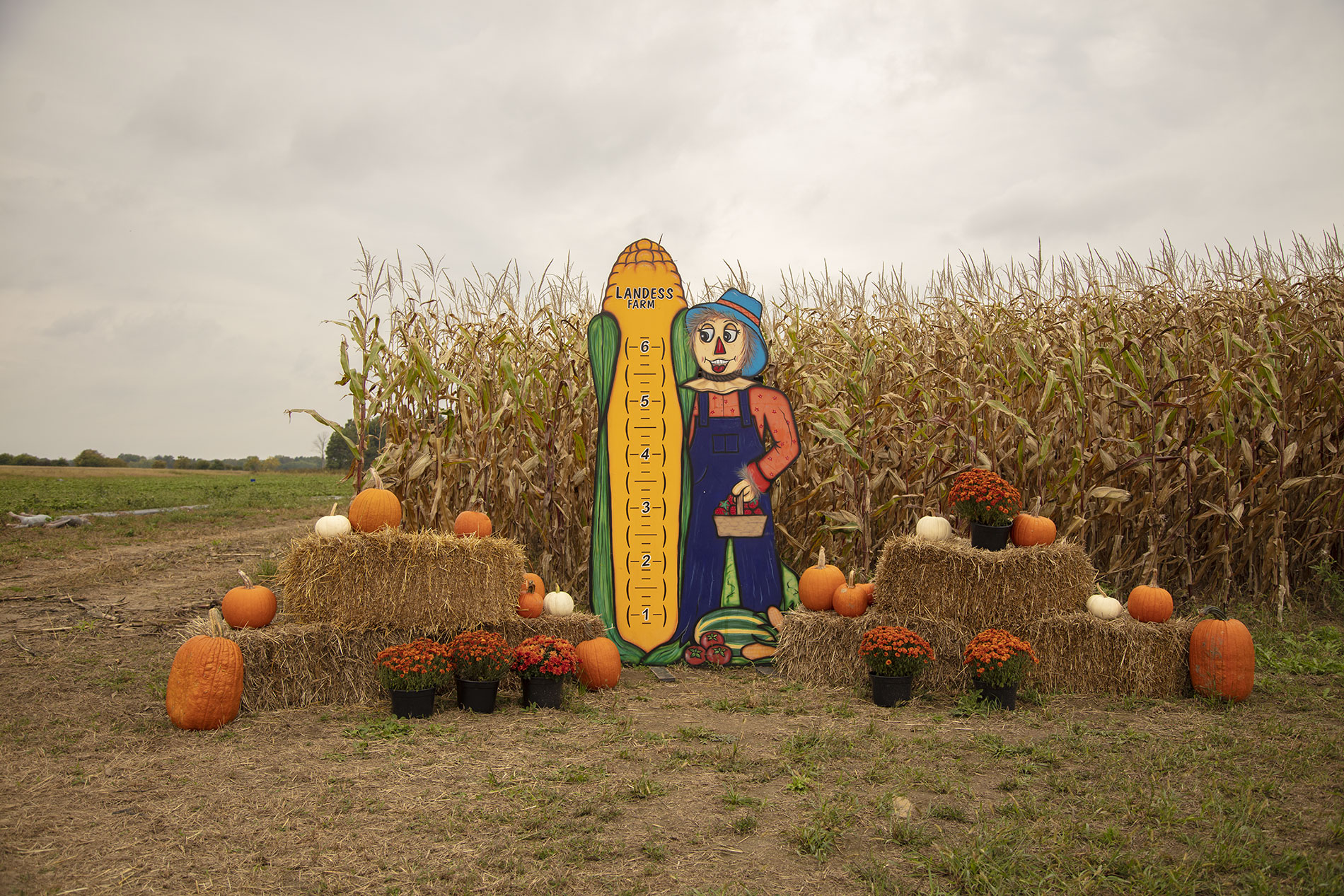 Harvest Season is Full of Fall Fun at Landess Farm!