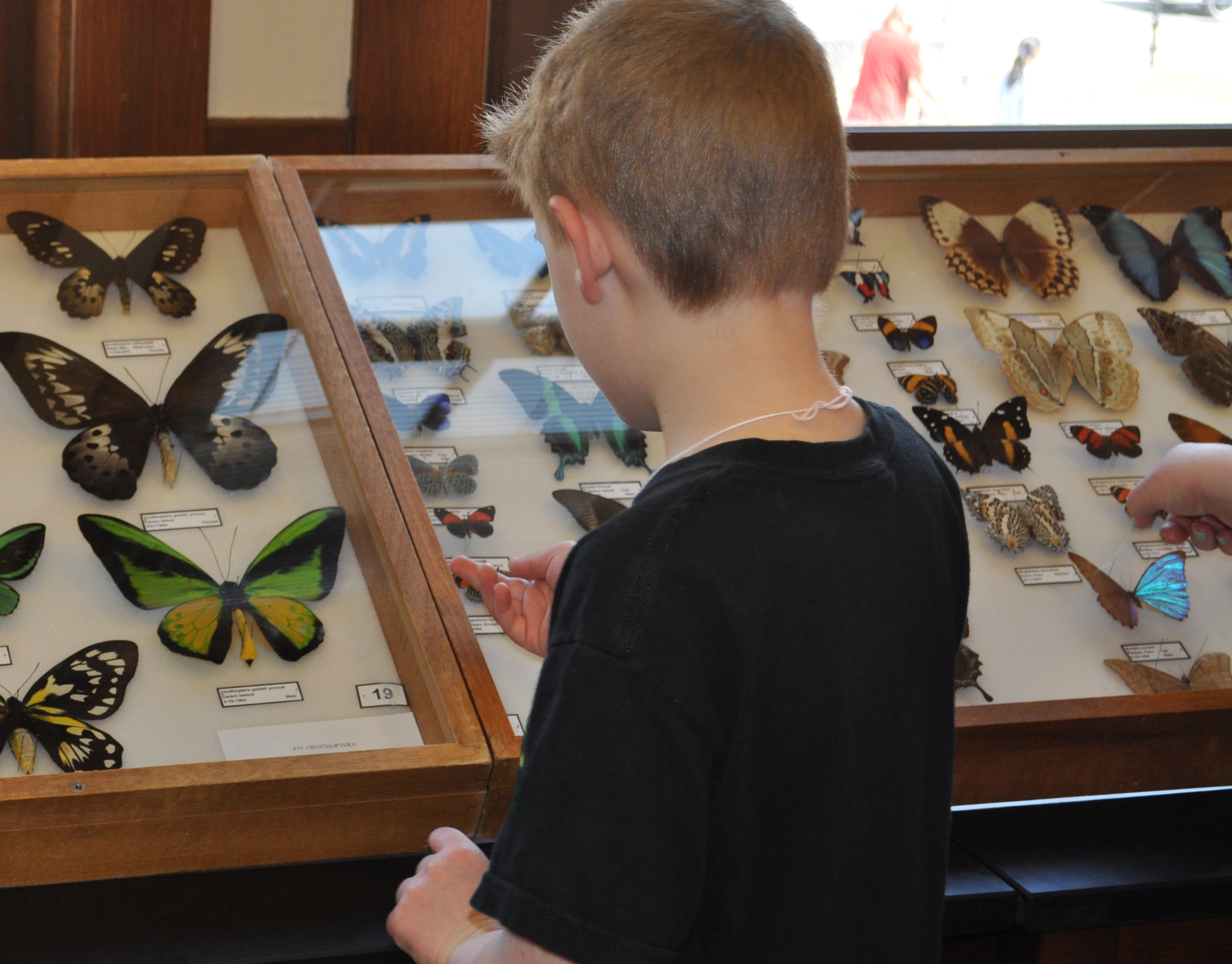 Creepy, Crawly & Fascinating! Learn About Bugs at Purdue's Spring Fest