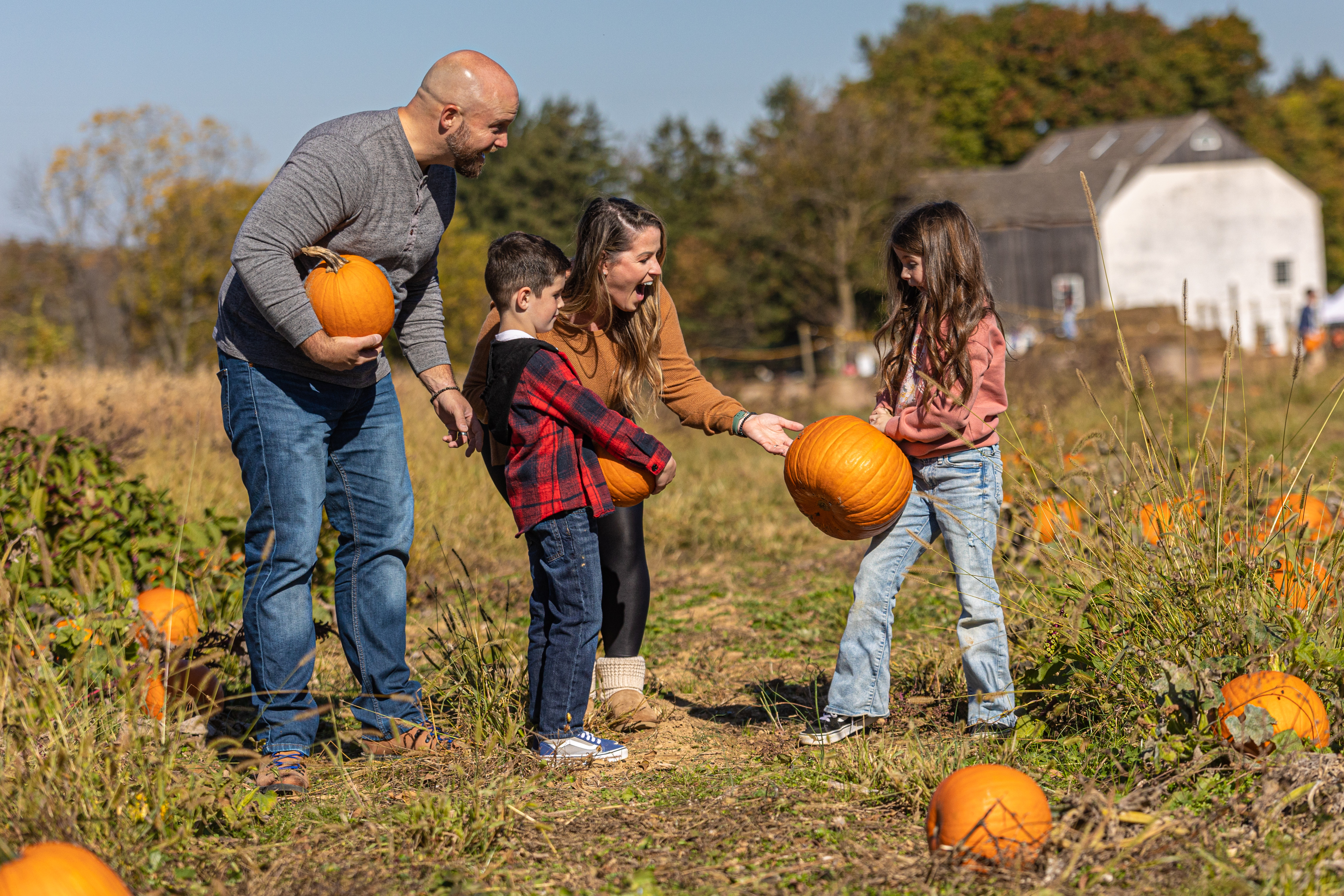 Pumpkin Patch
