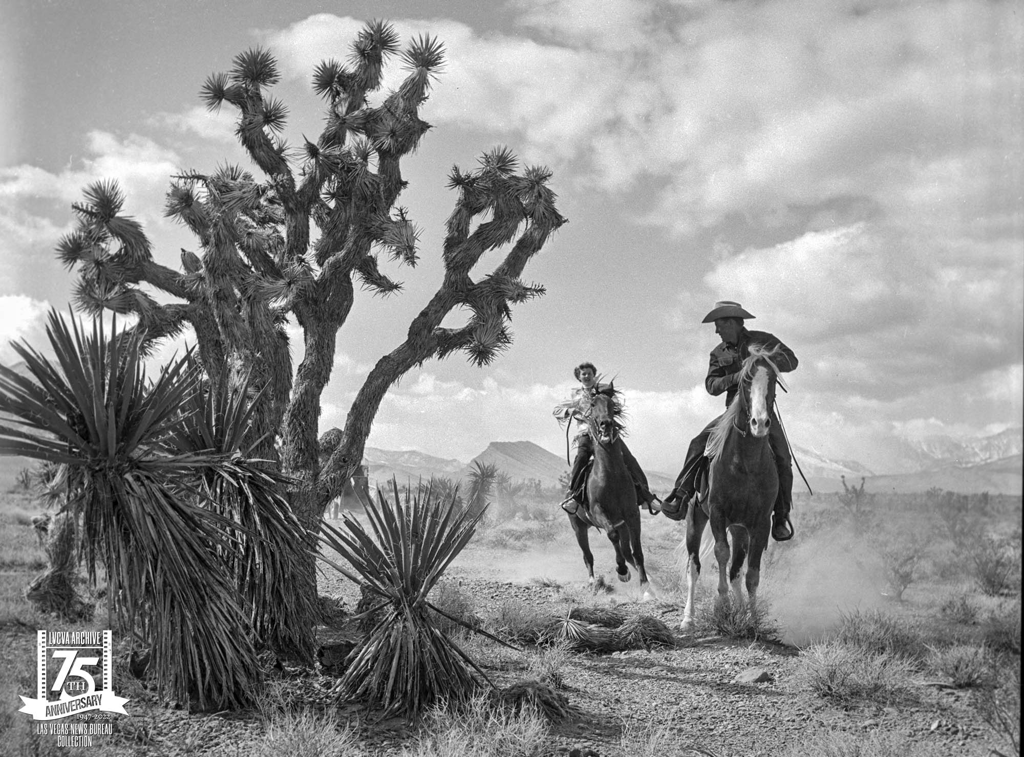 75th Anniversary Gallery Scenic Nevada