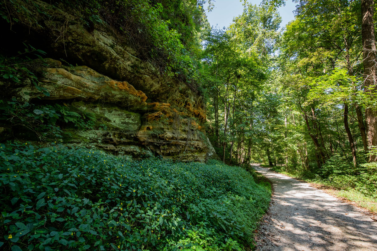 Indiana State Forest Indiana's Brown County State Park Added To