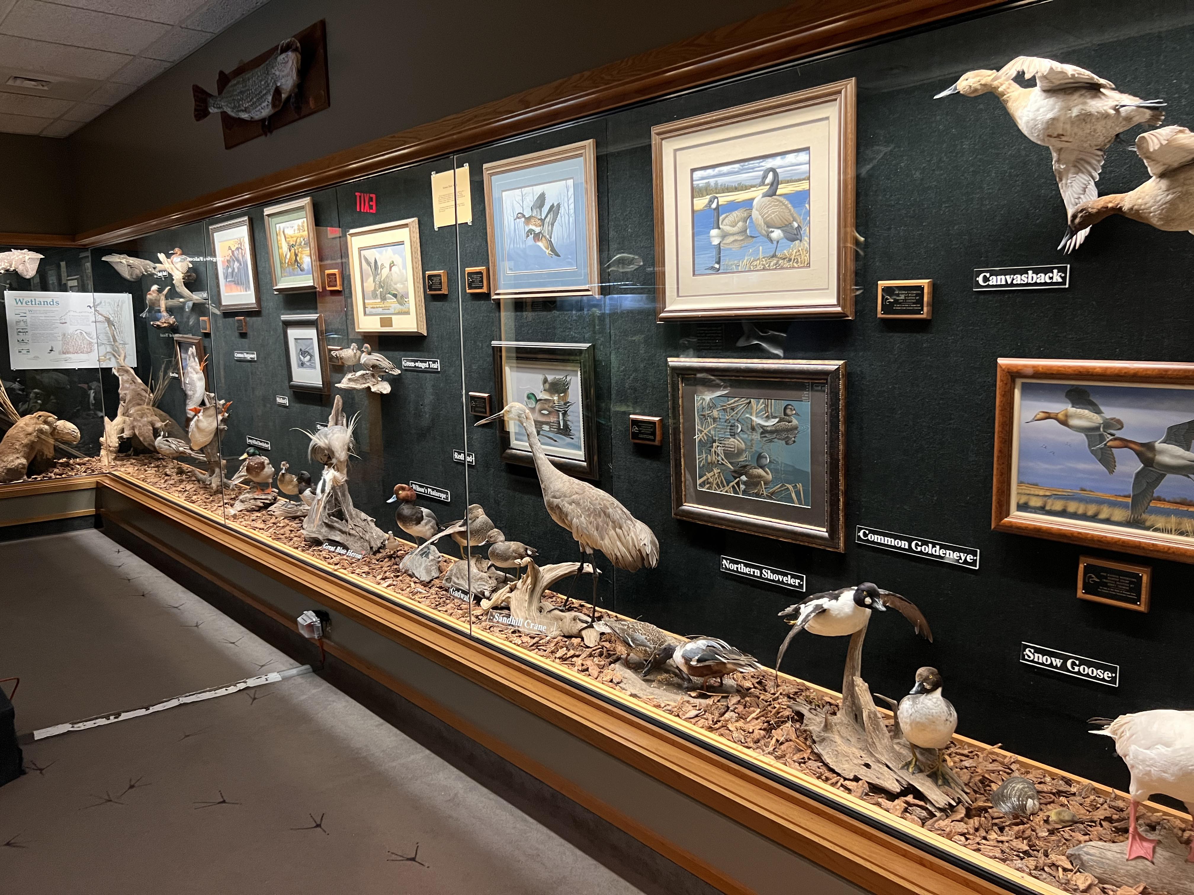 Kansas Nature Center