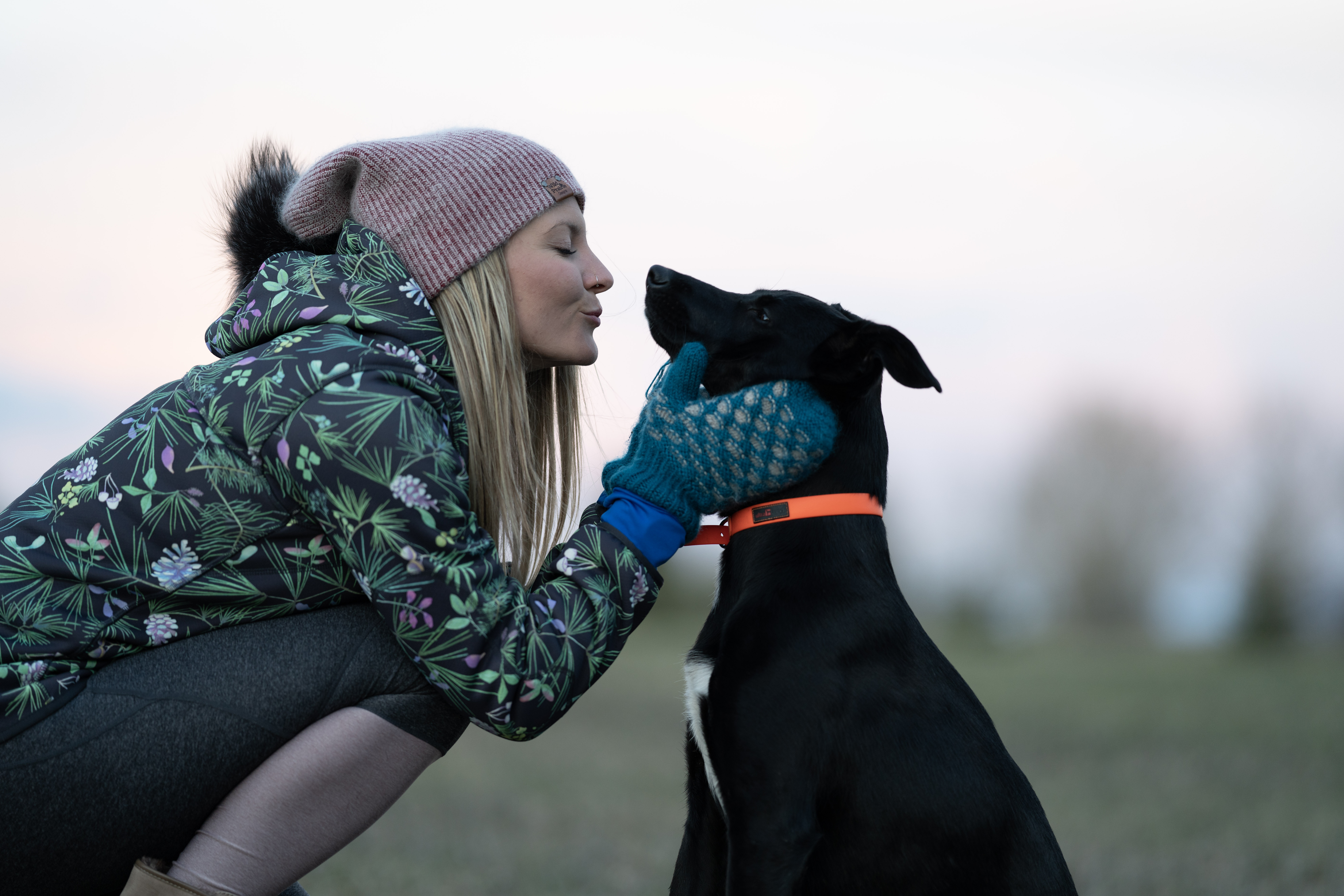 Are Dogs Allowed At Taste Of Saskatchewan