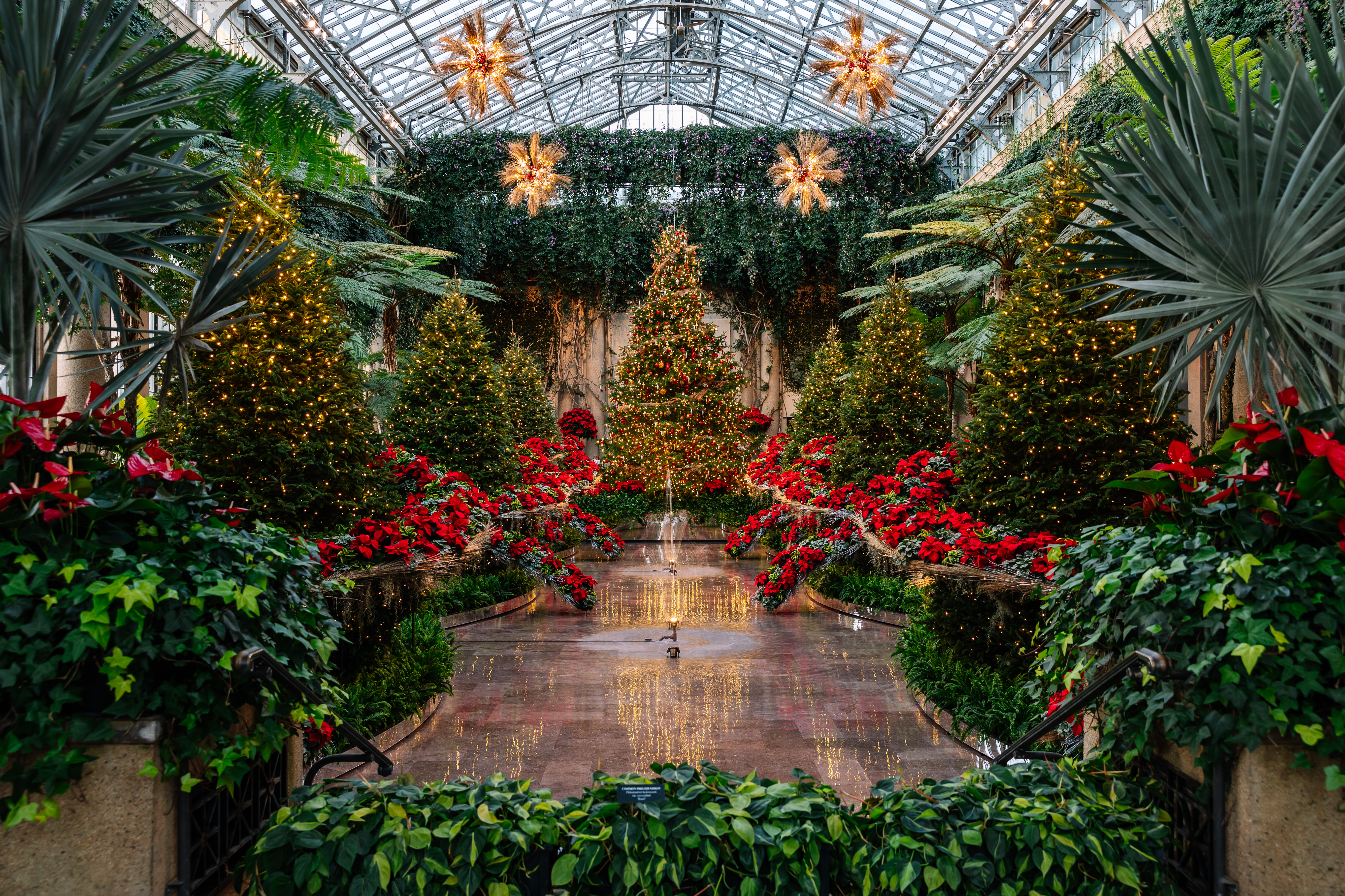 Navidad En Longwood 2013