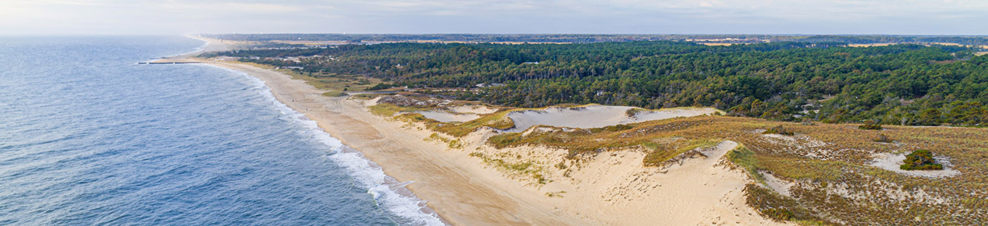 Dover Delaware Beaches