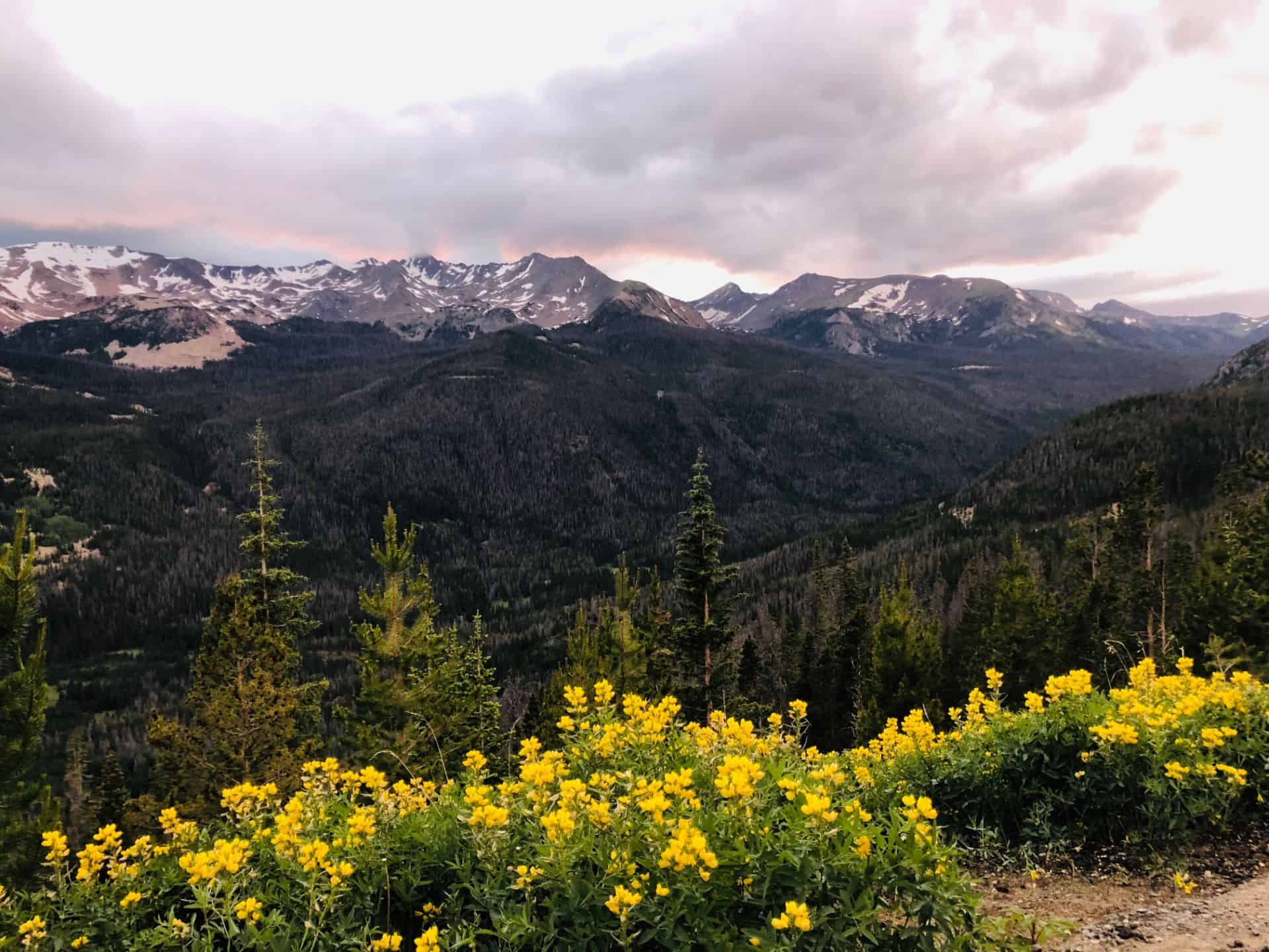 Rocky Mountain National Park Information Rocky Mountain National Park