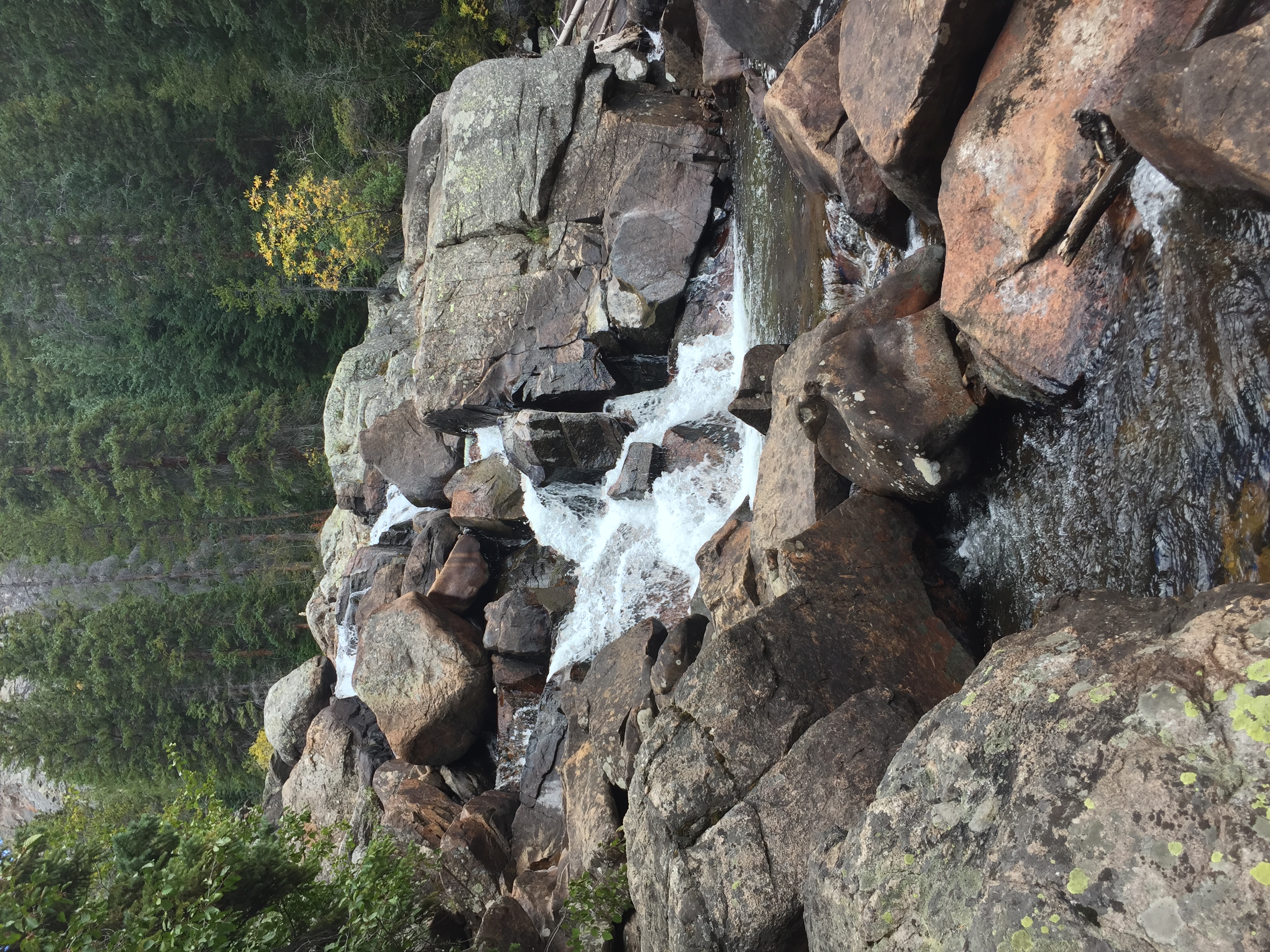 Cascade Falls Campground Cascade Falls Hikes Dogs Love