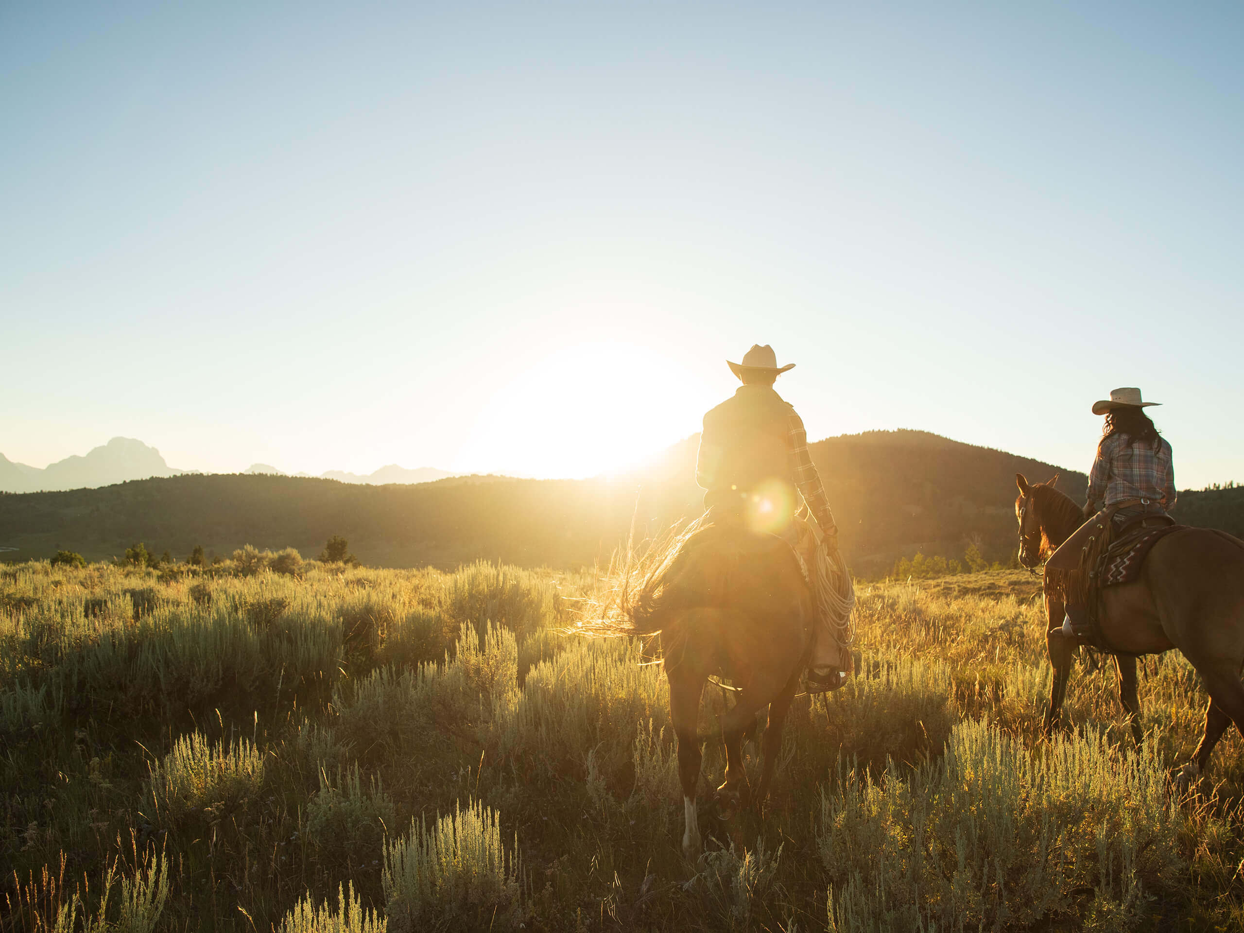 Cowboy Horseback Riding