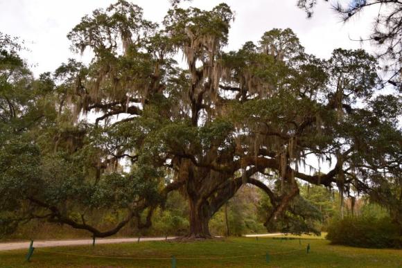 Historic Blakeley State Park | Gulf Shores & Orange Beach