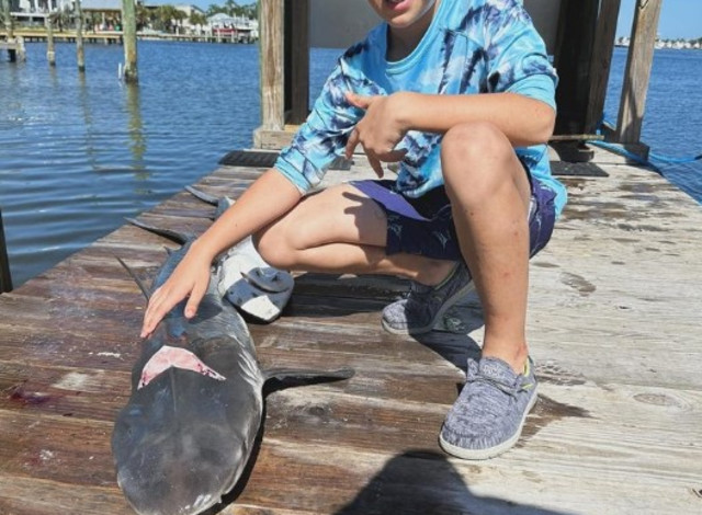 Apex Shark Charter Fishing | Gulf Shores & Orange Beach Apex Shark Charter Fishing | Gulf Shores & Orange Beach
