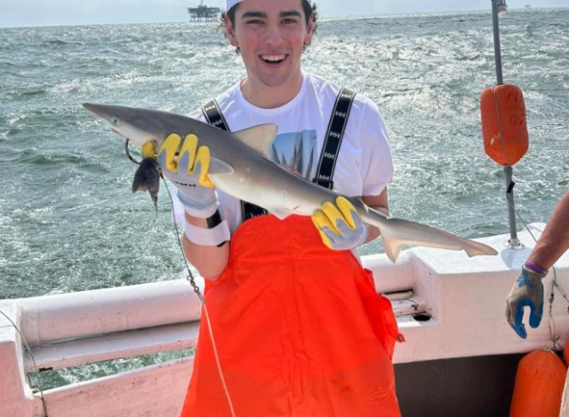Apex Shark Charter Fishing | Gulf Shores & Orange Beach Apex Shark Charter Fishing | Gulf Shores & Orange Beach