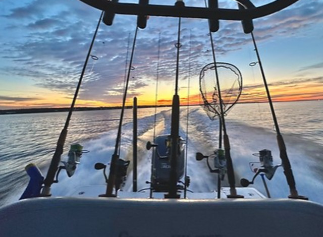 Blue Line Charters, LLC | Gulf Shores & Orange Beach