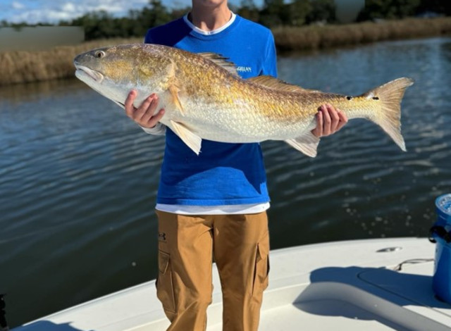 Blue Line Charters, LLC | Gulf Shores & Orange Beach