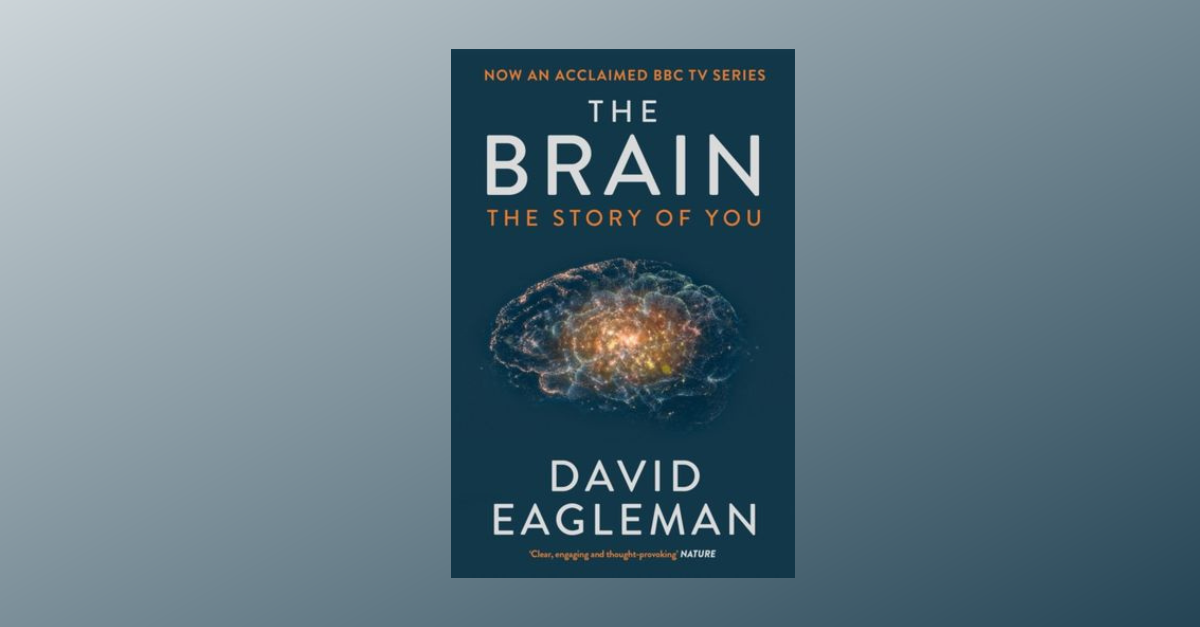 The Brain: The Story of You | Fantastic Reads
