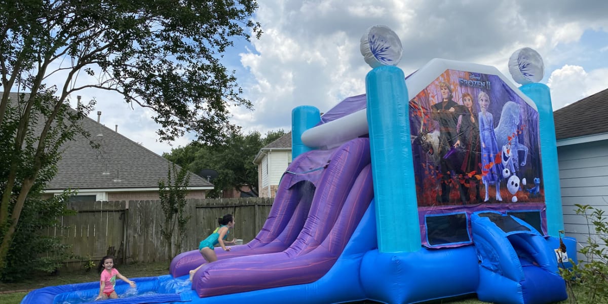 USA Frozen Bounce House Rentals | Sky High Party Rentals