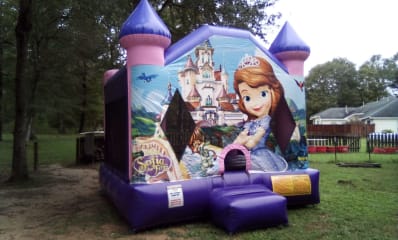 Sofia the First Bounce Rentals Houston, TX | Sky High Party Rentals